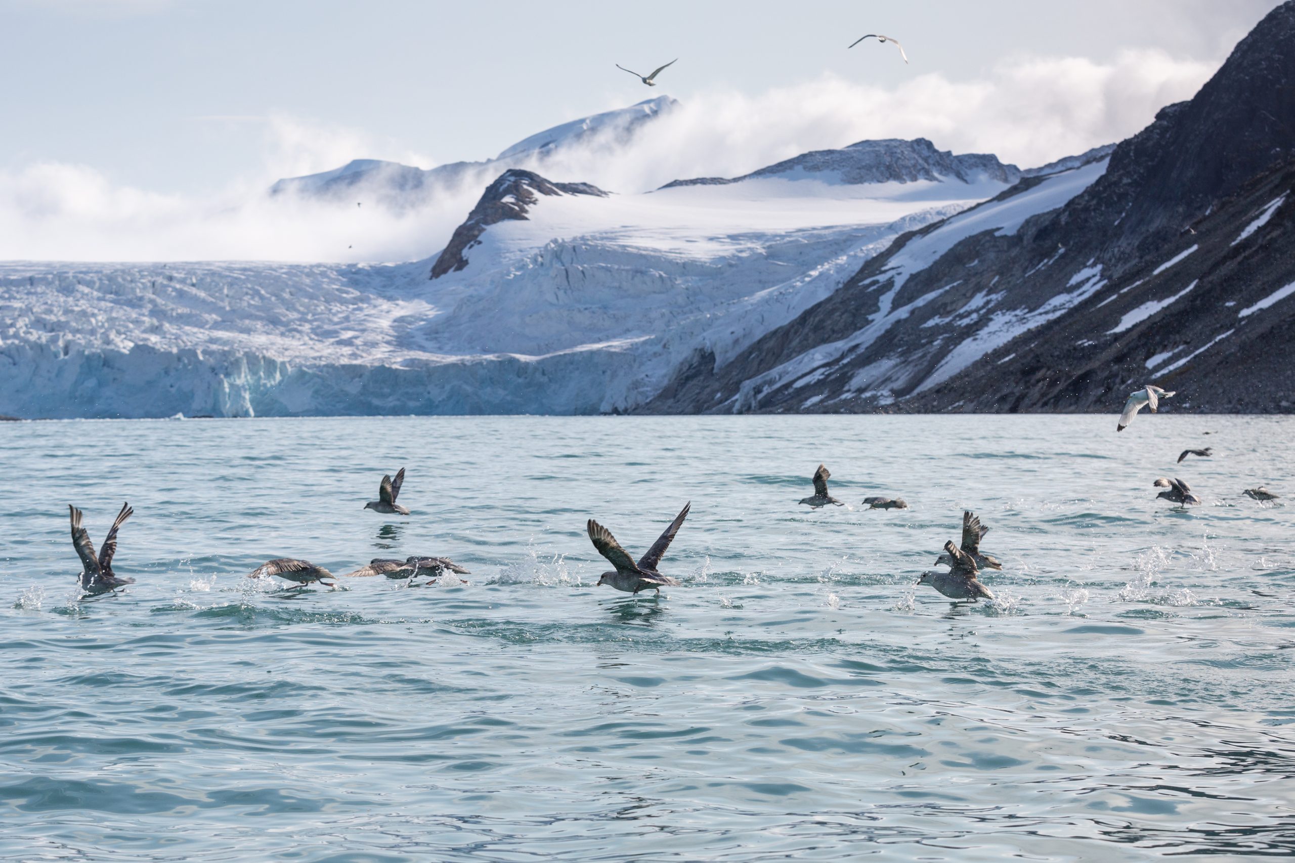 Navigating the Seas of Effective Ocean Conservation with OECMs « High ...