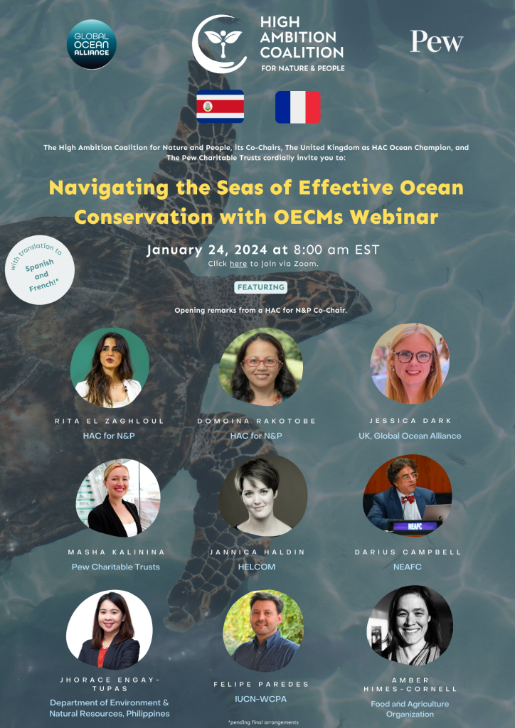 Navigating the Seas of Effective Ocean Conservation with OECMs « High ...