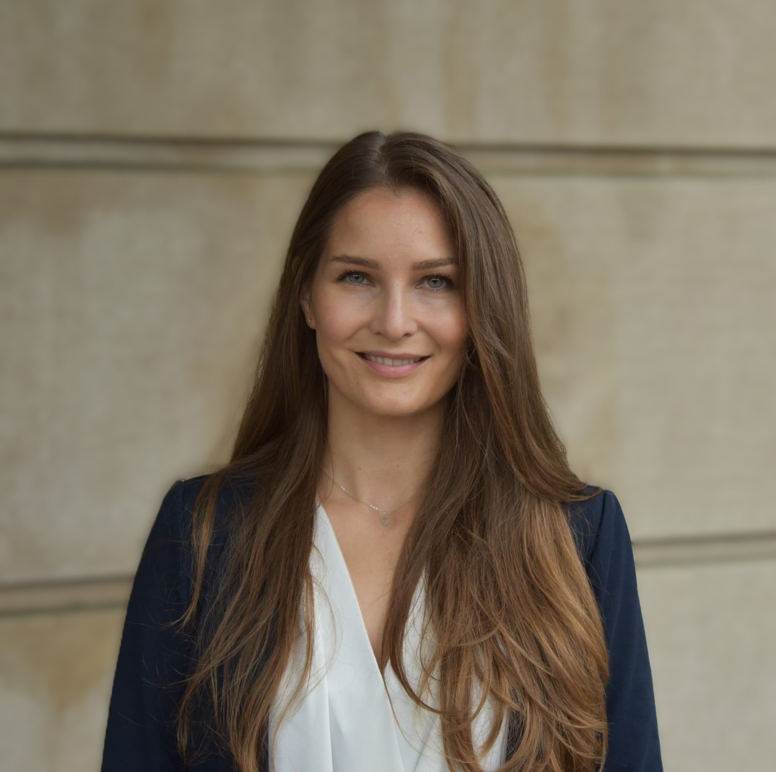 About Us « High Ambition Coalition